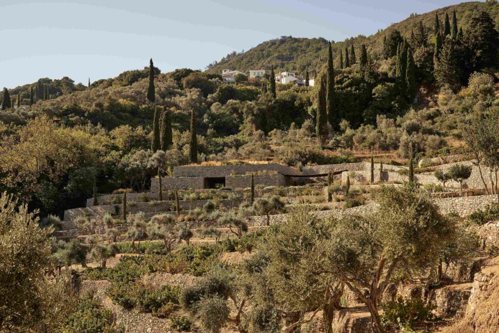 Metaxa Celebrates Legacy in Samos with K-Studio’s LIKNON Museum - D5 ...