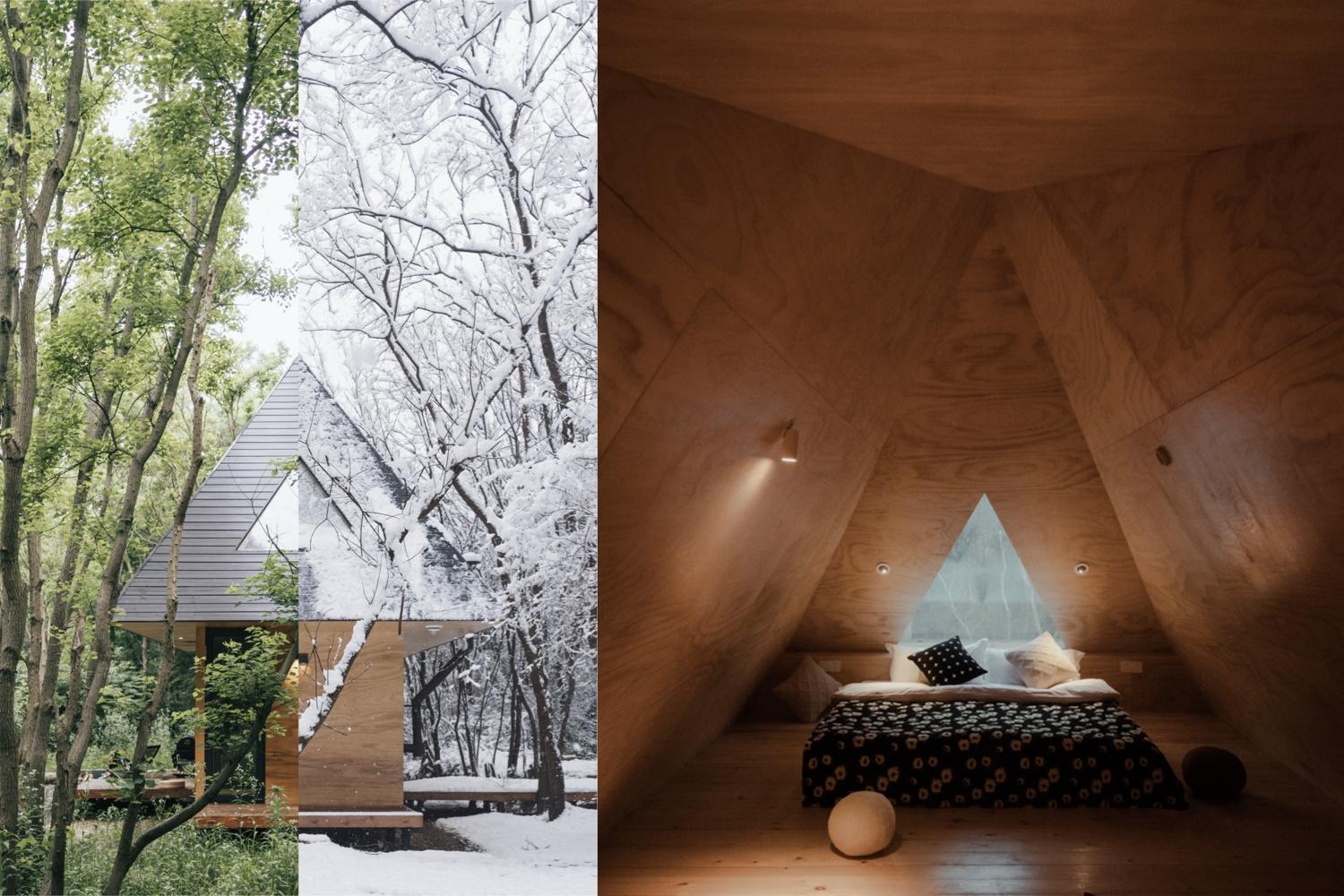 The Ark Cabin’s Fusion of Minimalist Design and Sustainability - D5 MAG ...