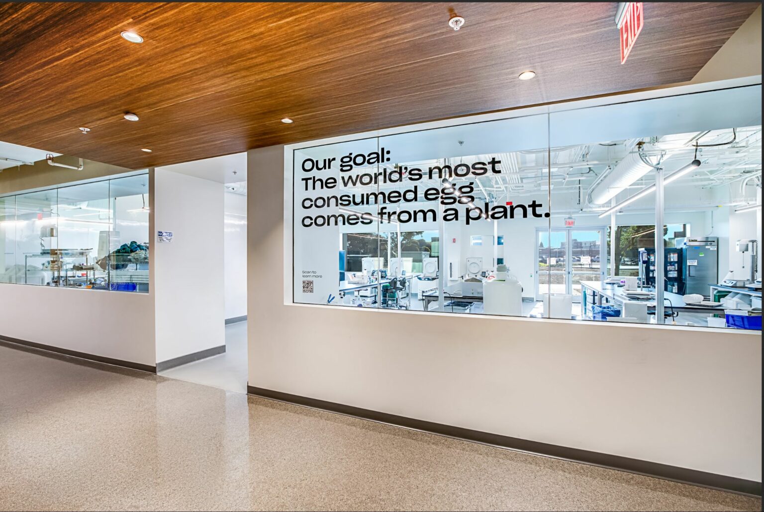 Interview with Joe Luttwak: Pioneering Sustainable Design with ekoa® and Lingrove - D5 MAG ...