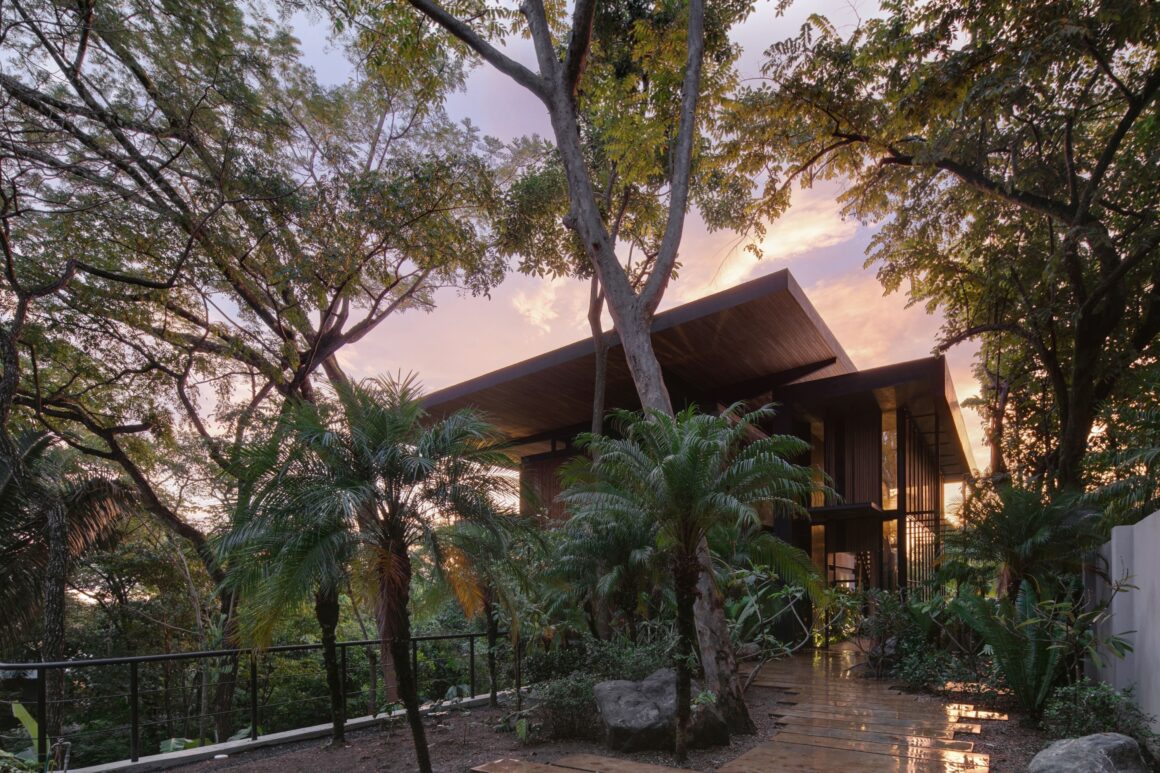 Raintree House: Biophilic Design and Eco-Conscious Architecture in the ...