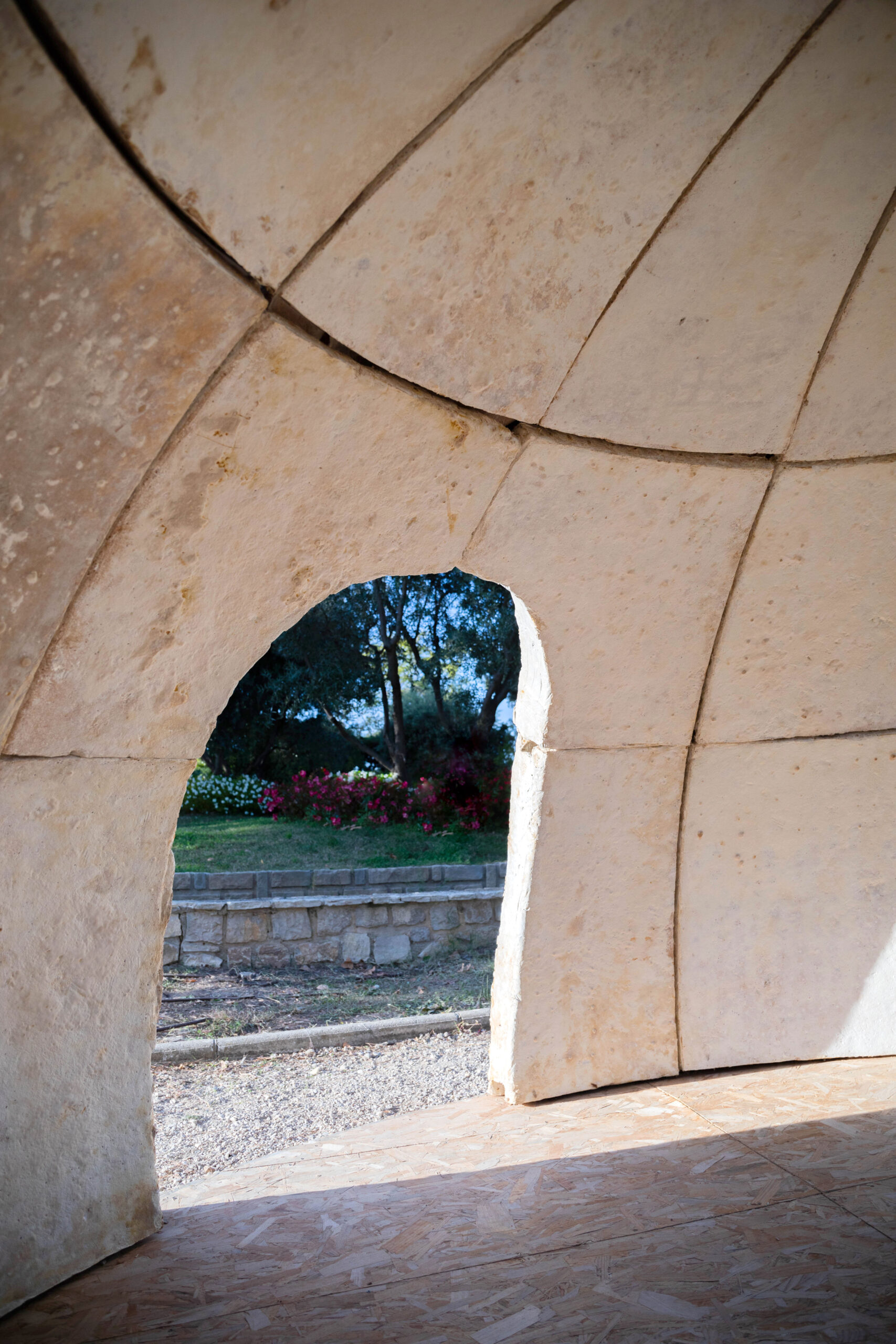Mycotemple Dome’s Mycelium Magic Points the Way to Future Green ...