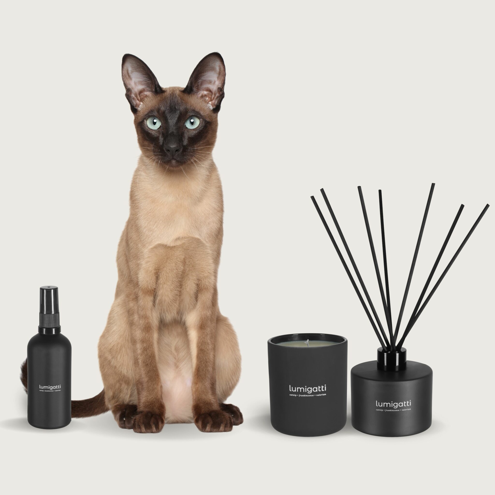 Scented Sophistication: lumigatti Unveils Designer Home Fragrances Made ...