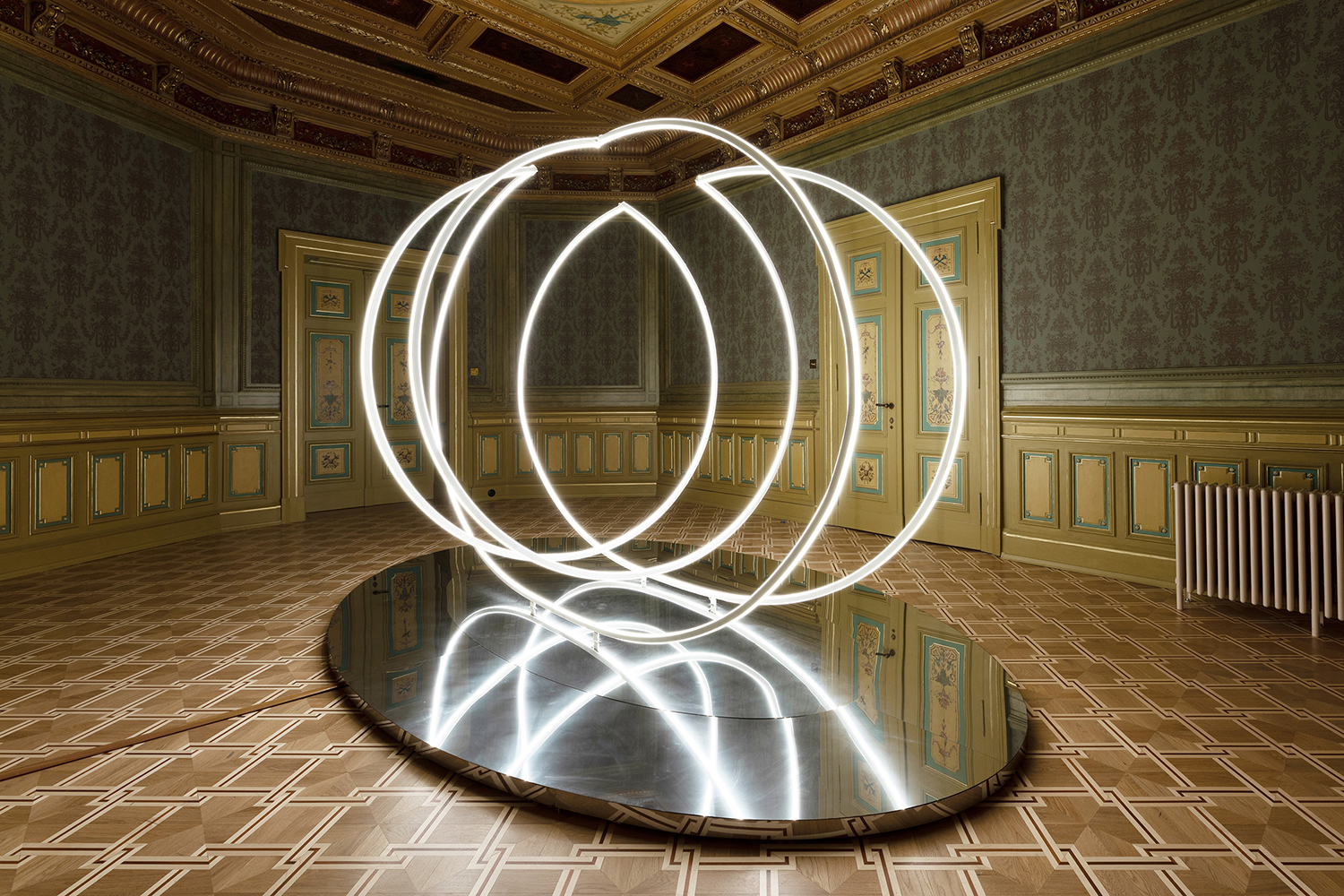 Explore the Enchanting Fusion of Elliptical Light Lines and Mirrored ...