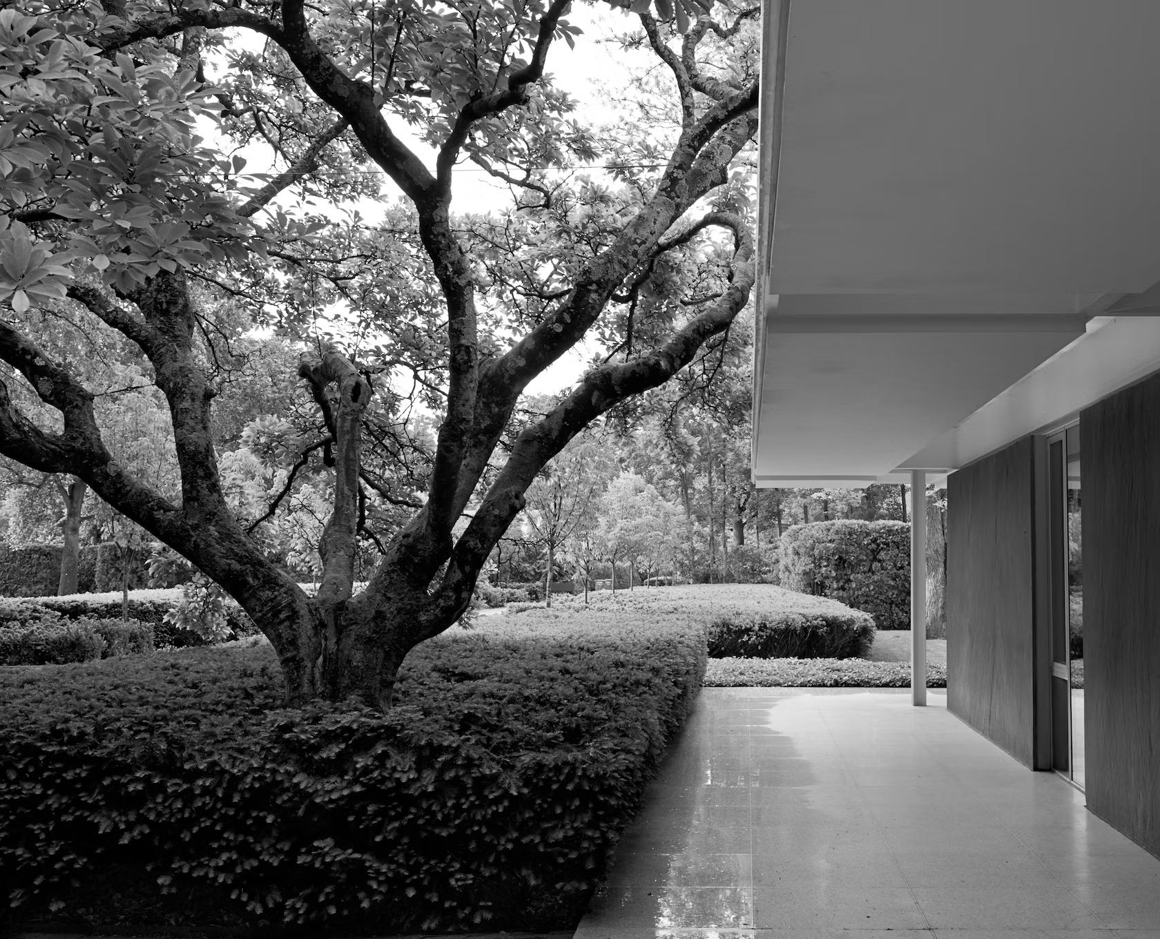 Dan Kiley’s Design Legacy Comes Alive in Free-to-Visit Exhibition until ...