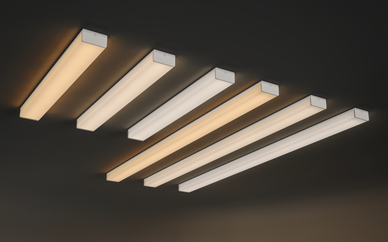 D5 - Architecture, Interior, Lighting, Industrial & Furniture Design