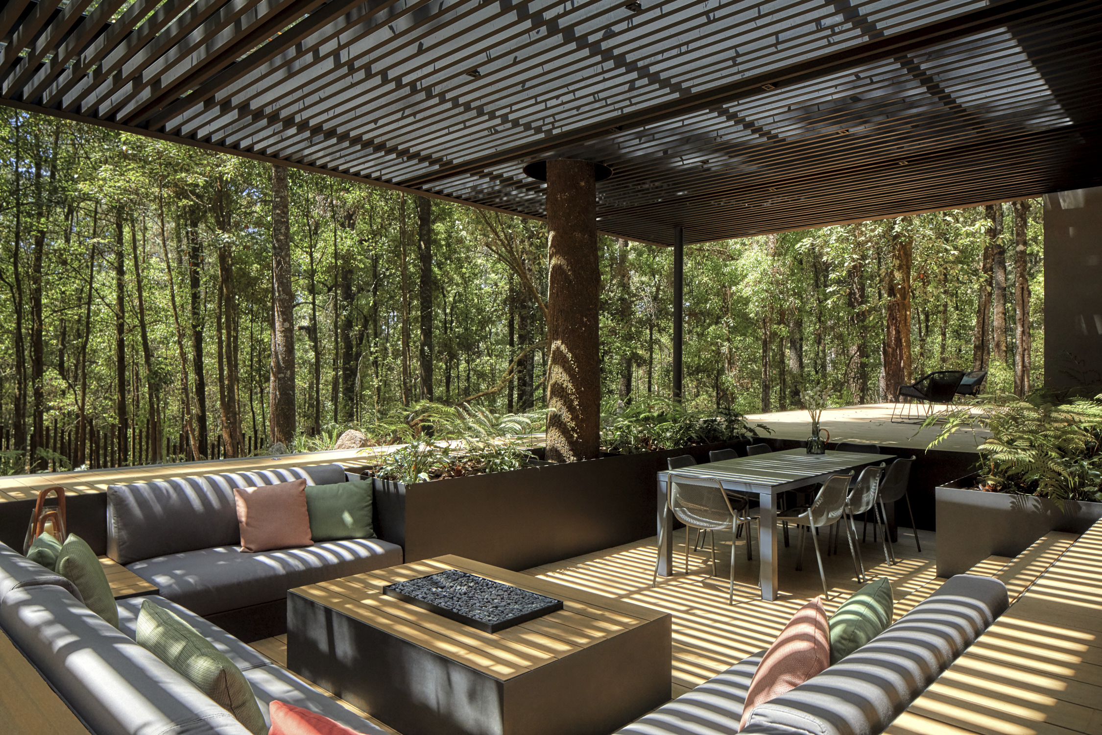 San Simon Cabins: Sanctuary in the Mexico’s Forests - D5 MAG – Design ...