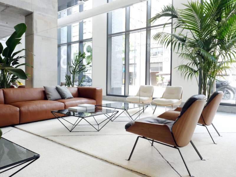 Prostoria Has Opened Its First Flagship Store in North America - D5 MAG ...