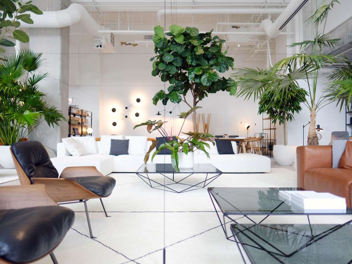 Prostoria Has Opened Its First Flagship Store in North America - D5 MAG ...