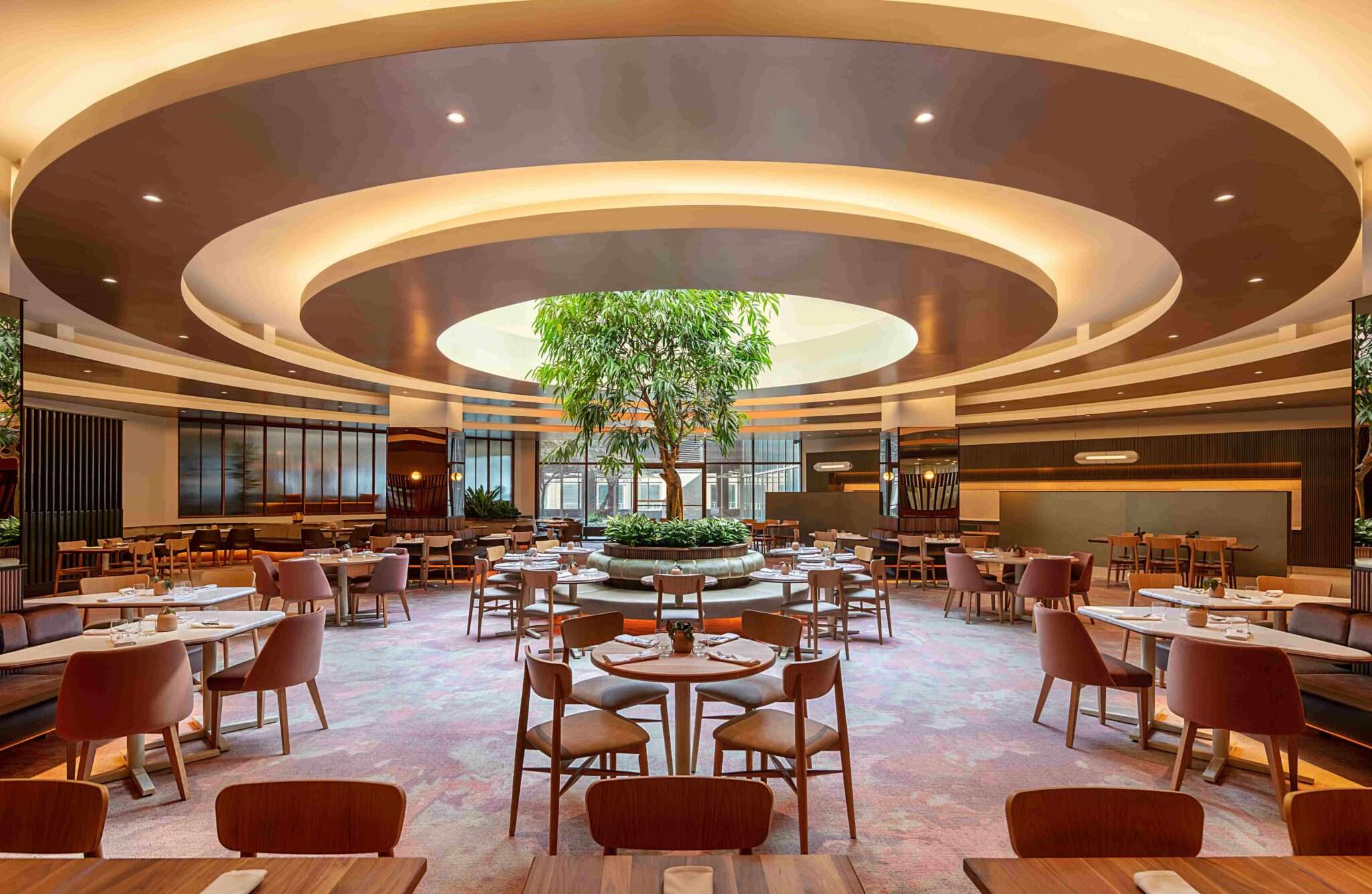 Planting a Tree Inside One of Montreal’s Most Luxurious Hotels - D5 MAG ...