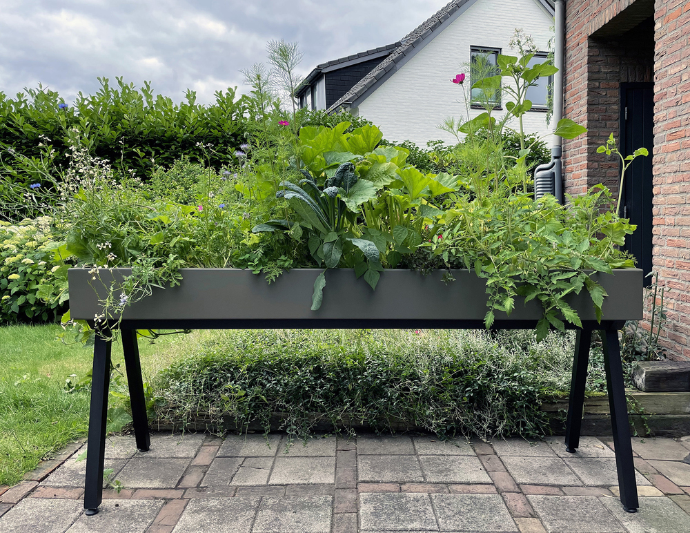 Bringing Gardening into Everyday Life with a Thoughtfully Designed ...