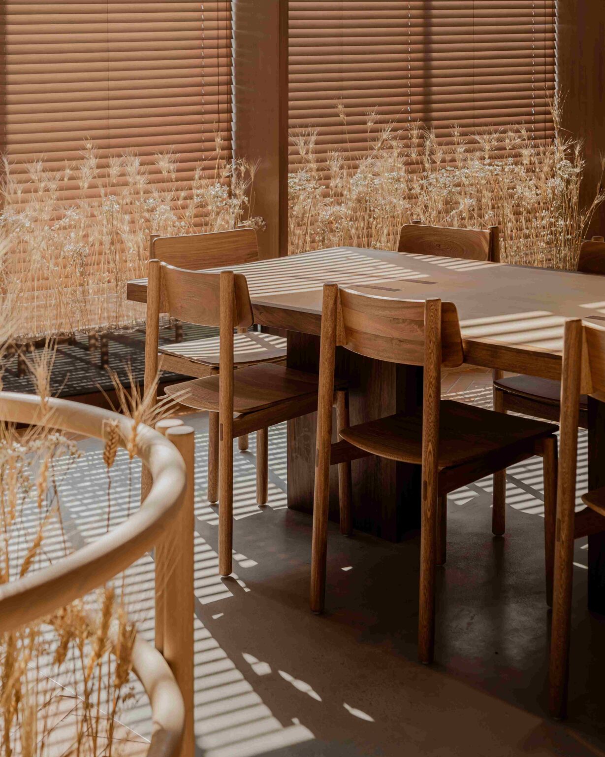 Walls of Earth and Wood Shape Krume Bäcker’s Sustainable Bakery in ...