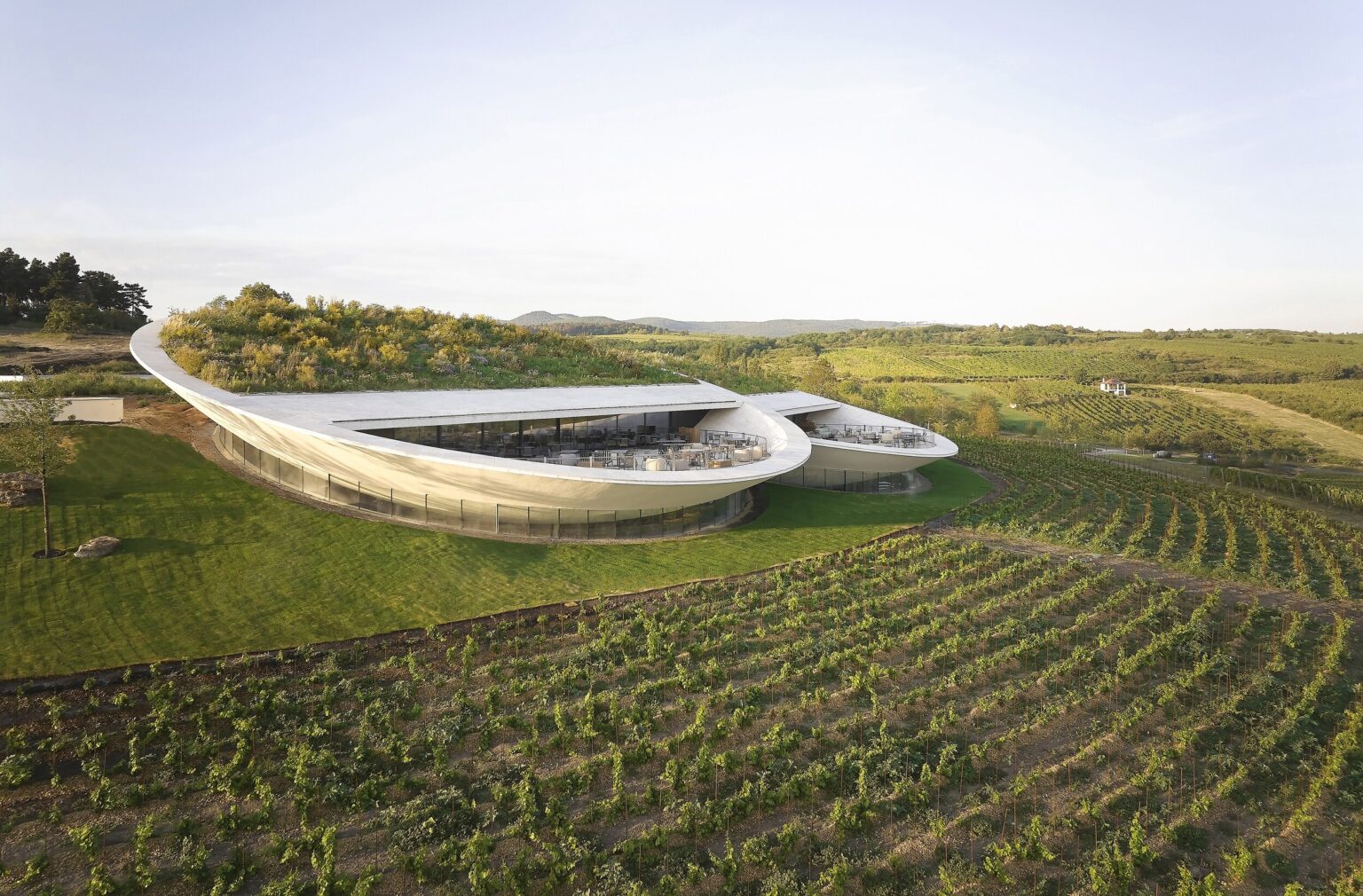 Sauska Winery in Hungary is a New Floating Landmark Among the Historic ...