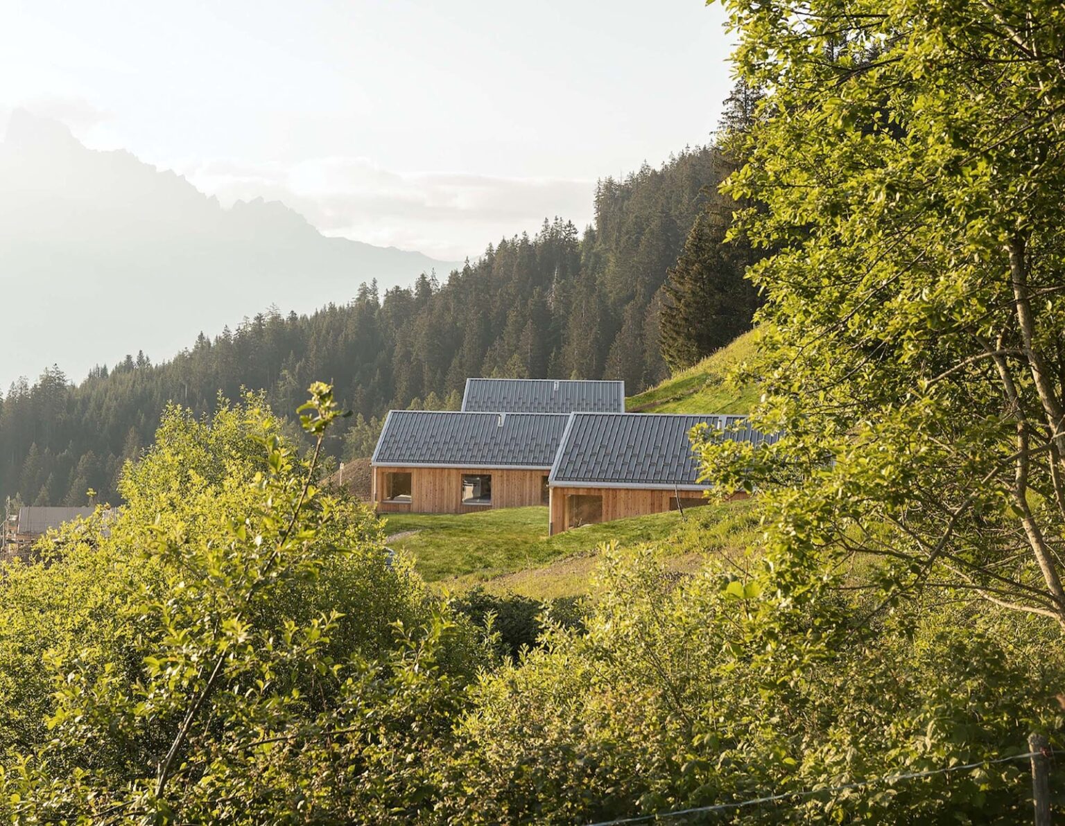 A Look Into Our Favourite Architectural Designs of 2025 - D5 MAG ...