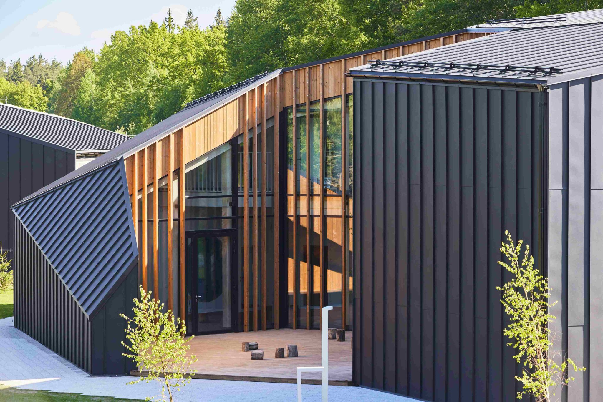 A Kindergarten Design that Sparks Wonder and Healthy Growth - D5 MAG ...